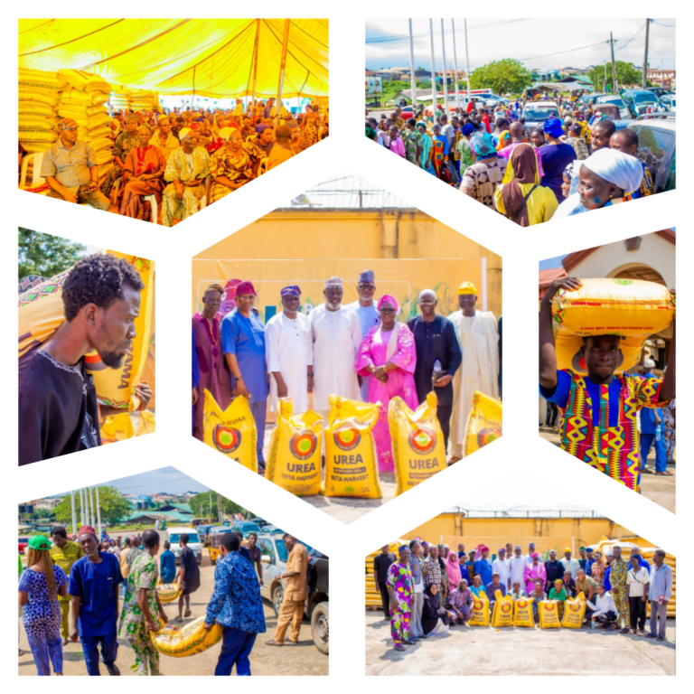 SENATOR TOKUNBO ABIRU DISTRIBUTES 1,200 FERTILIZERS TO LAGOS EAST ...