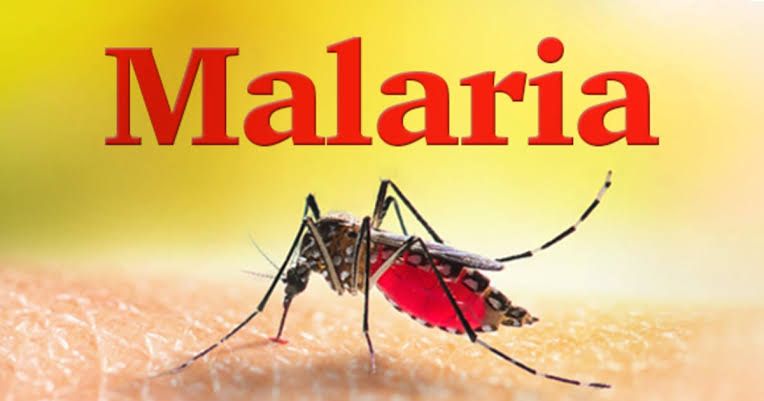 NIGERIAN AND GERMAN SCIENTISTS DISCOVER POWERFUL NEW ANTIMALARIAL ...